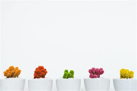 How To Use Data Attributes In Javascript Css Html By Alexandra
