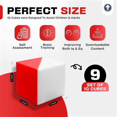 Prfcnl Iq Test Cubes In Red For Wisc V Wais Iv Wppsi Bdt