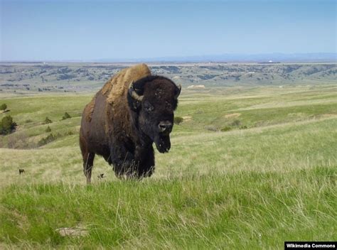 2016 07 08 The Otherworldly Beauty Of Badlands National Park