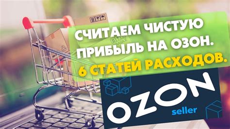 Как посчитать чистую прибыль на Озон? Шесть статей расходов селлера ...