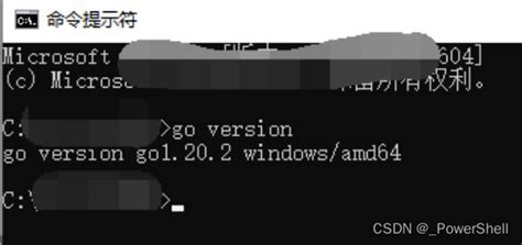 [ 环境搭建篇 ] windows 安装 go 环境并配置环境变量 附go 1 20 2安装包 go环境变量配置 windows csdn博客