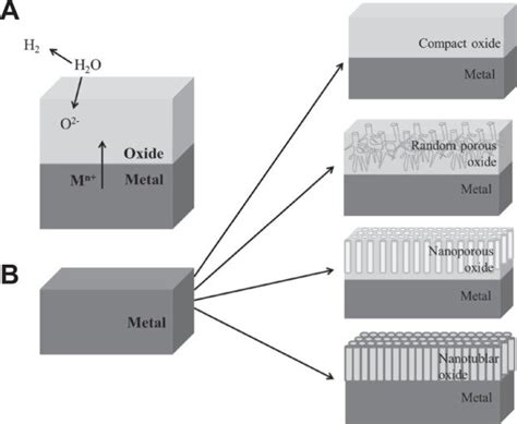 Aluminum Oxide Formation At Madeleine Seitz Blog