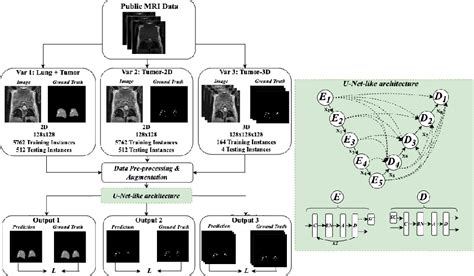 lung tumor segmentation in mri mice scans using 3d nnu net with minimum