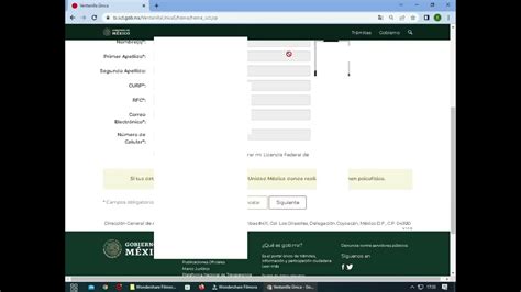 Licencia Federal Digital Internacional Tramite En Ventanilla Unica Sct