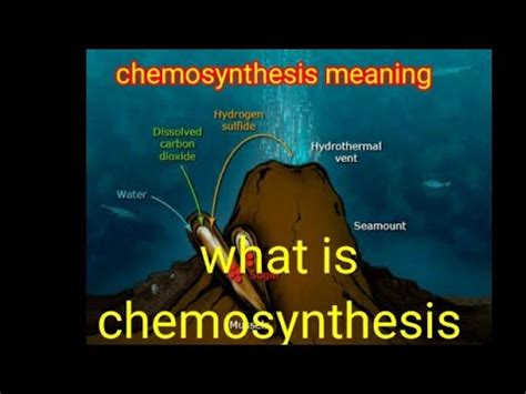Chemosynthesis
