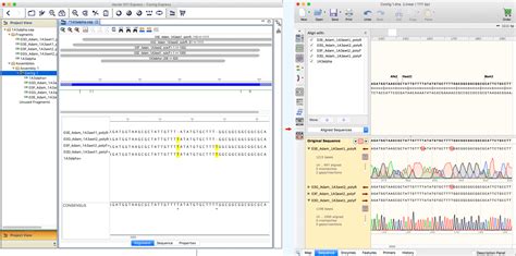 Transition From Vector Nti® Snapgene