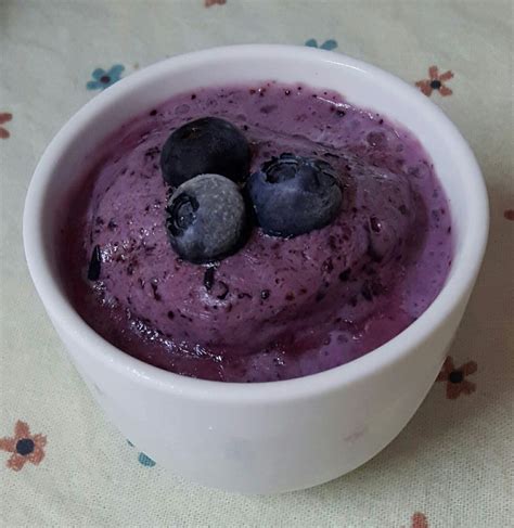 Home Made블루베리 아이스크림