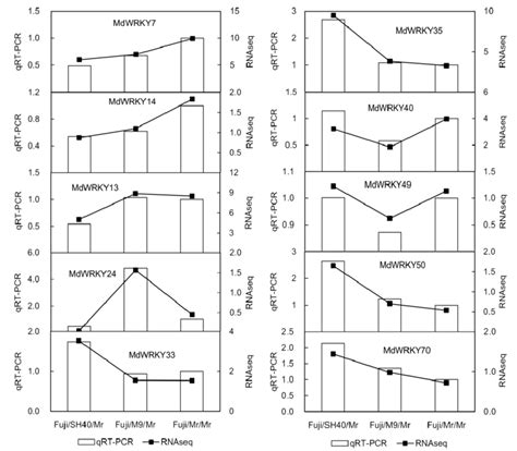 Real Time Fluorescence Quantitative Verification Of Differentially
