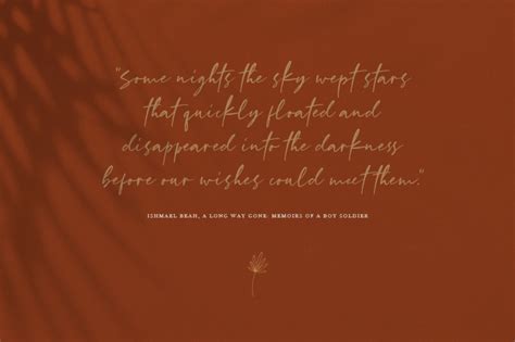 the elegant scripts collection by thehungryjpeg thehungryjpeg