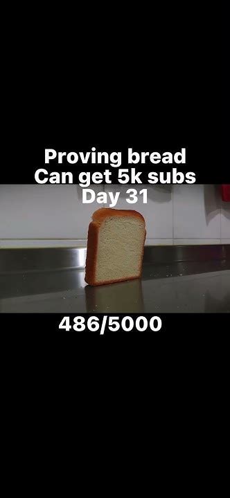 Brainrot Bread No2 I Proving Bread Can Get 5k Subscribers 🍞 Shorts