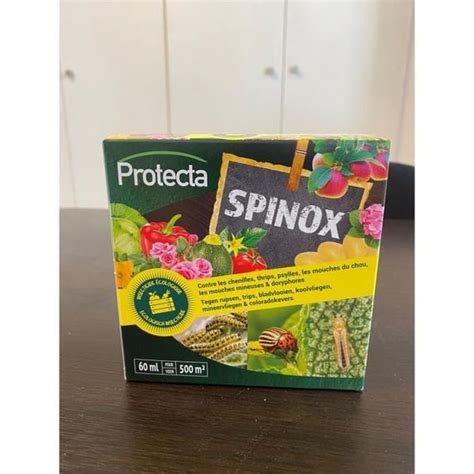 Insecticide écologique Efficace Contre Différentes Espèces De Chenilles