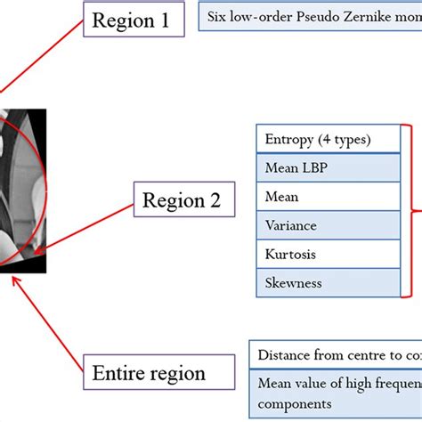 Feature Extraction From The Distorted Image Download Scientific Diagram