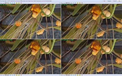 The Binki Box Back To Basics ISO Aperture And Shutter Speed