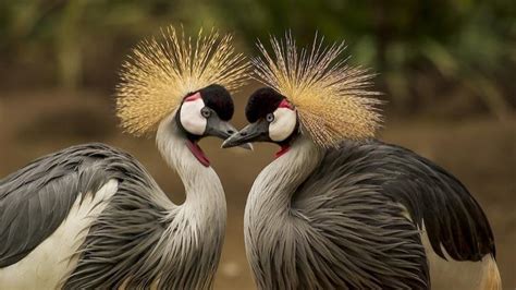 从 Fastq 文件中随机抽取 Reads 知乎