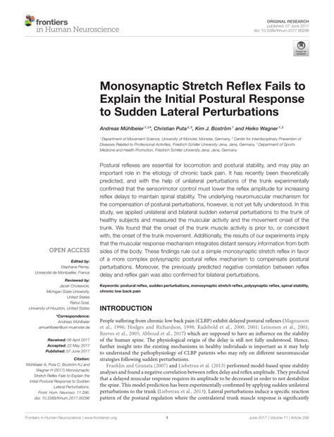 Pdf Monosynaptic Stretch Reflex Fails To Explain The Initial Postural