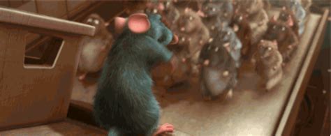 Ratatouille  Find On Er