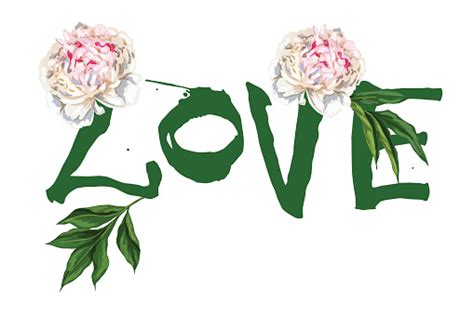 손으로 작성 된 사랑과 아름 다운 모란 꽃 발렌타인 디자인 포스터 인사말 카드 사진 앨범 배너에 대 한 문자 서 예 벡터 일러스트 레이 션 컬렉션입니다 격언에 대한 스톡