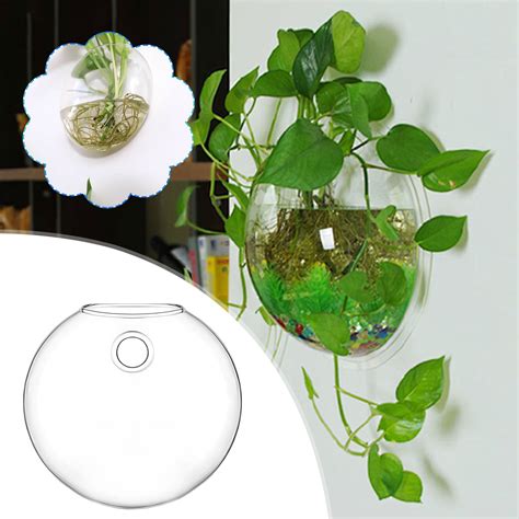 Wall Mounted Glass Vase Qiopertar Under 5 Wall Mounted Glass Vase Flat Cake Vase Hydroponic