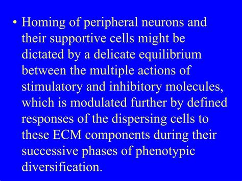 Ppt Lamellipodial Extension Driven By Actin Assembly Powerpoint