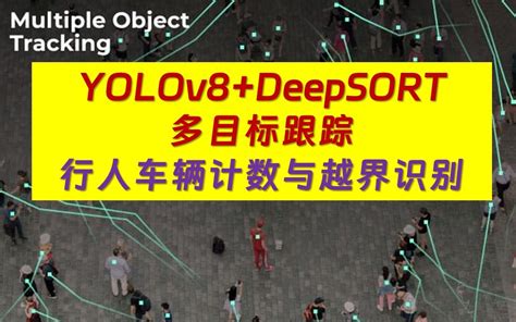 yolov8 deepsort多目标跟踪 哔哩哔哩 bilibili