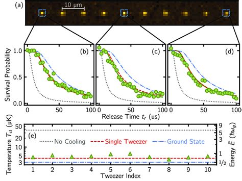 Chirp Cooling In A One Dimensional Tweezer Array A Averaged