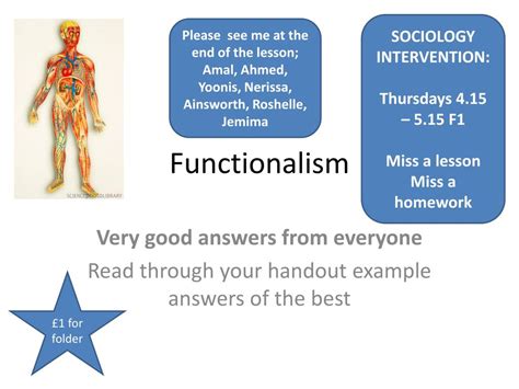 Structural Functional Theory In Sociology Performancefeet