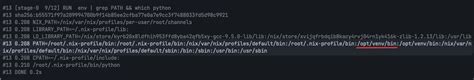 Python Provider Phases After Install Do Not Have Access To Python Issue Railwayapp