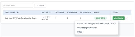Excel Bulk Audit Auditzy Docs