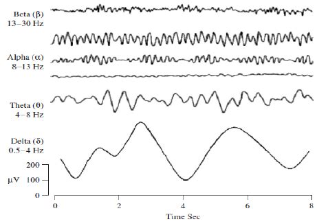 EEG Frequency Bands Where The Y Axis Indicates EEG Frequency Bands And Download Scientific