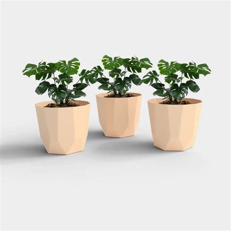 Shera Hexa Planter Plastic Flower Pots For Plant Beige Color 6 Inch
