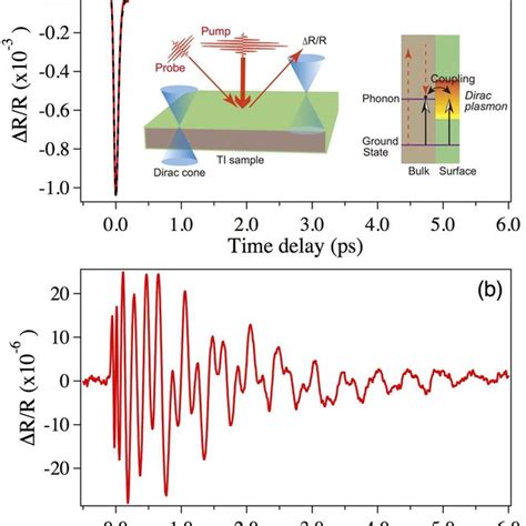 Color Online A Time Resolved Reflectivity Signal Observed For A Download Scientific Diagram