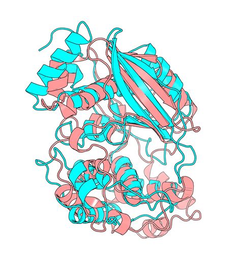 Blower Lab News Toxin Antitoxin Phage Durham Tim Blower Lab