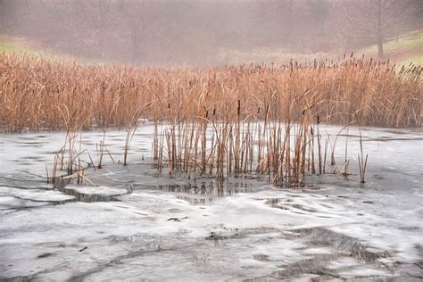 Url或请求头中直接传递中文导致乱码的方式 Zhouzhou Blog