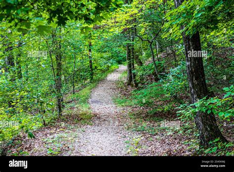Hiking Pivot Rock Trail In The Beautiful Green Forest Eureka Springs