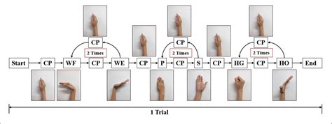 Figure 4 From Multi Joint Angles Estimation Of Forearm Motion Using A Regression Model