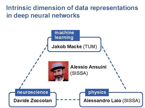 intrinsic dimension of data representations in deep neural