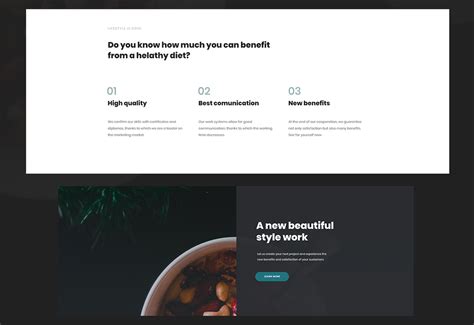 DOLPHIN Design Website Elements UI Behance