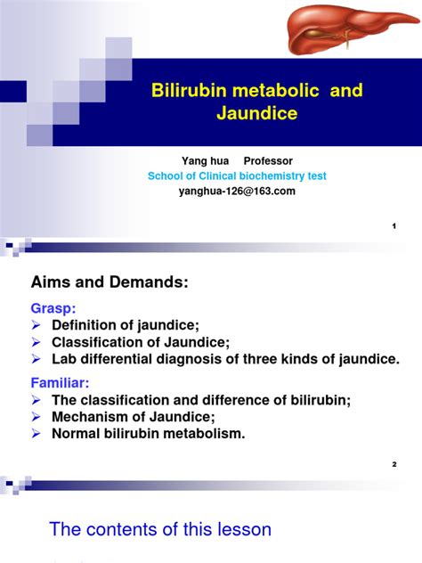 Chapter15 Bilirubin Metabolic And Its Disorders Pdf Medical Specialties Liver