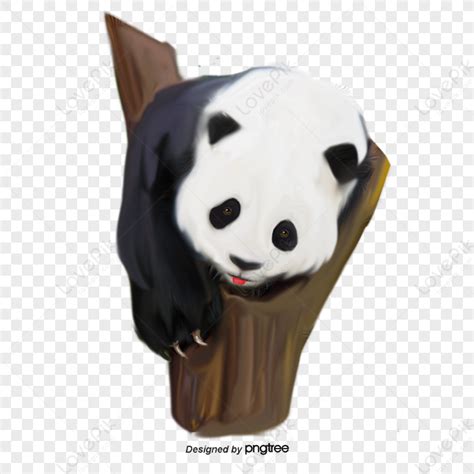 판다 나무 일러스트 줄기의 놀이원소대나무보물포스터 Png 일러스트 무료 다운로드 Lovepik