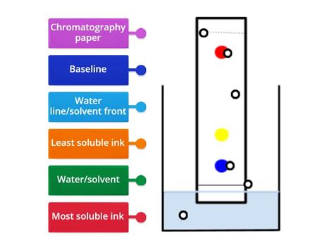 Paper Chromatography Labelled Diagram