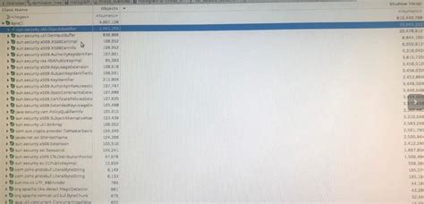 Java High Heap Memory Consumption While Extracting Ssl Certificate
