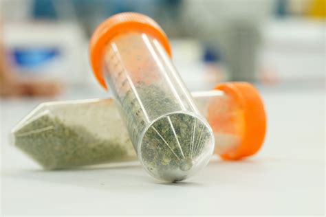 Mushroom Testing Lab Product Certification