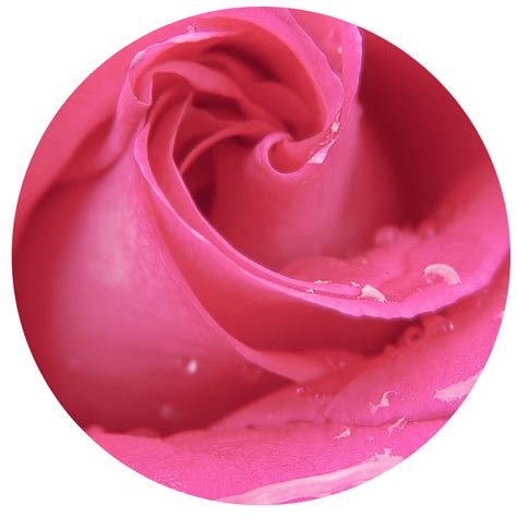 Connection Sex The Path To Emotional Bonding Sexual Intimacy And Love In A Long Term