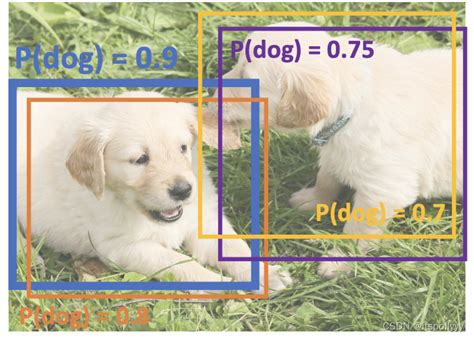 深度学习05 一阶全卷积目标检测实例（fcos）fcos A Simple And Strong Anchor Free Object Detec Csdn博客