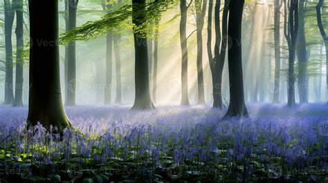 Ai Generated Misty Bluebell Wood At Dawn Ai Generated Stock Photo At Vecteezy