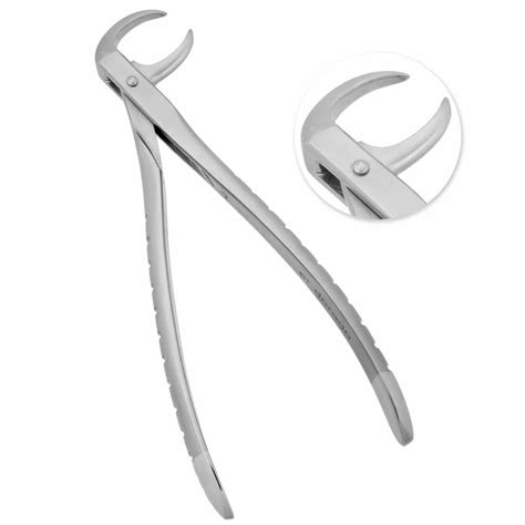 Stainless Steel Premium Extraction Forcep No74 At ₹ 1200piece In New