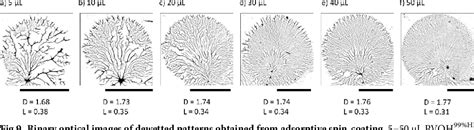 Figure 1 From A Triangular Model Of Fractal Growth With Application To