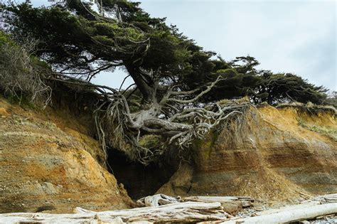 Day 5 Olympic Peninsula