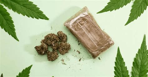 Hash Vs Weed What Is The Difference Between Hashish And Cannabis Flowers