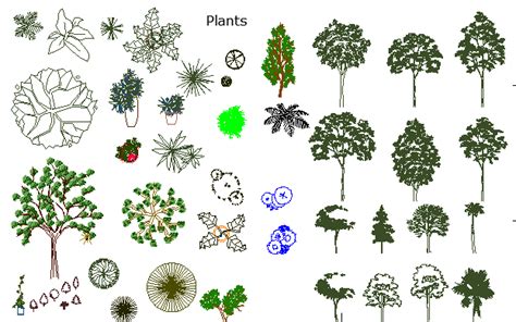Common Tree Blocks Details Dwg File Cadbull